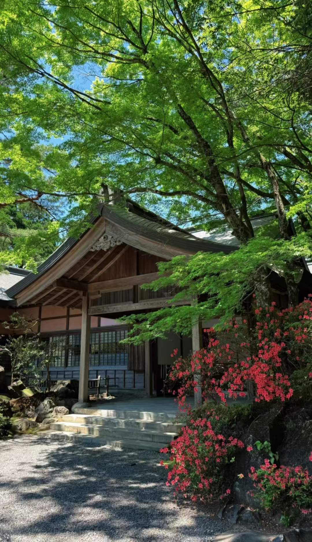 [All checked-in Kagoshima Kirishima Line] Boutique small group one-day ...